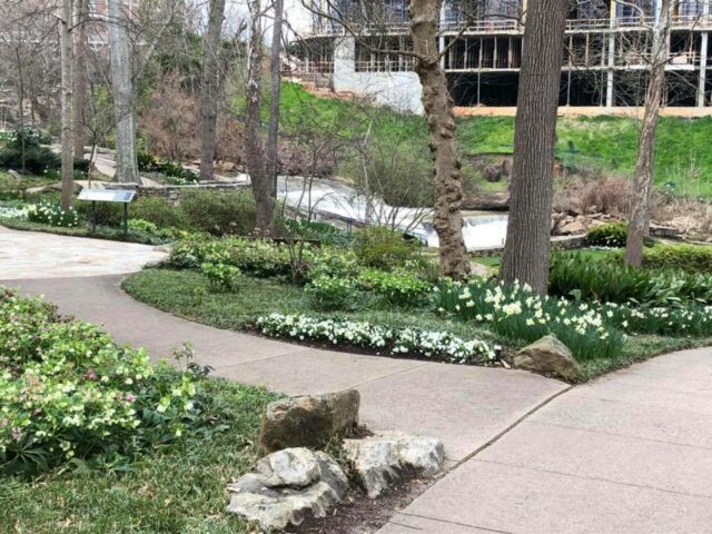 Flower Finders - Best Places to View Blooms in the Spring | Upcountry ...