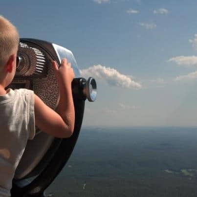 Hawk Watch! - Upcountry South Carolina