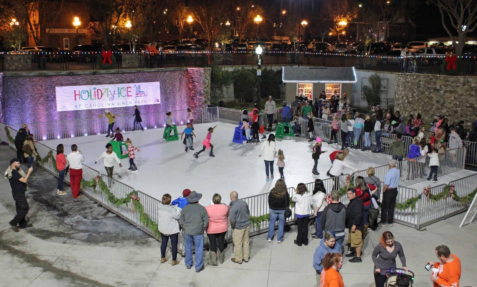 Ice In The Park - Upcountry South Carolina