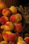 Where to find Peaches in the Upcountry - Upcountry South Carolina