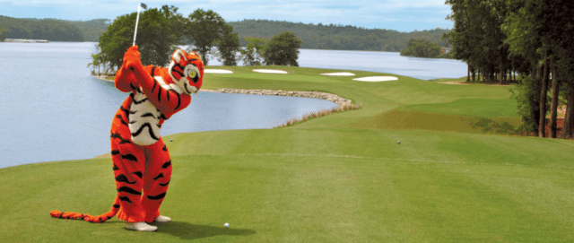 Best Public Golf Courses in The Upcountry | Upcountry South Carolina