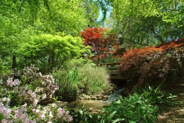 Flower Finders - Best Places to View Blooms in the Spring | Upcountry ...