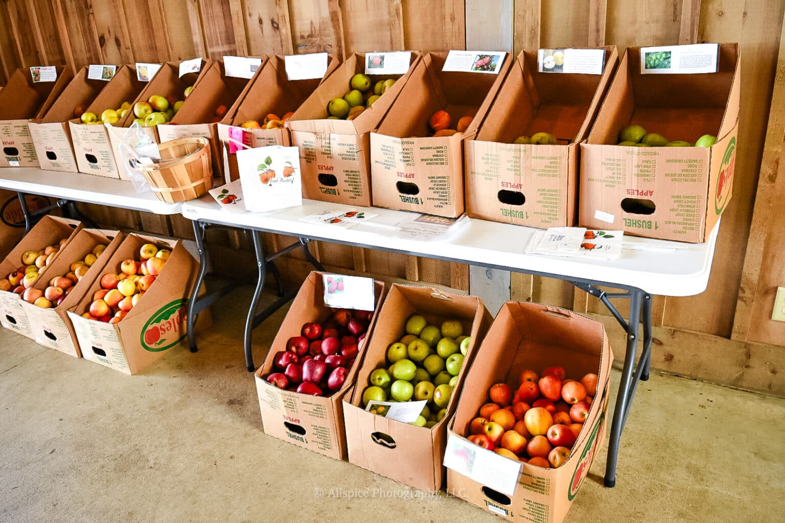 Upcountry Apple Season & Farm Stands - Upcountry South Carolina